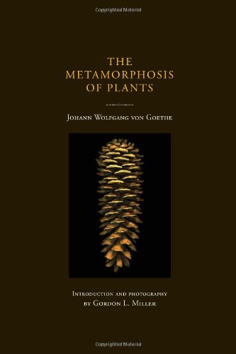 REFHUB | Refrence details -> The metamorphosis of plants REFHUB | Refrence details -> The metamorphosis of plants